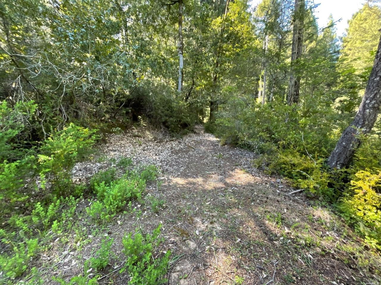 8235 Tyrone Rd, Monte Rio, CA 95419 - – Beds | – Baths (Active ...