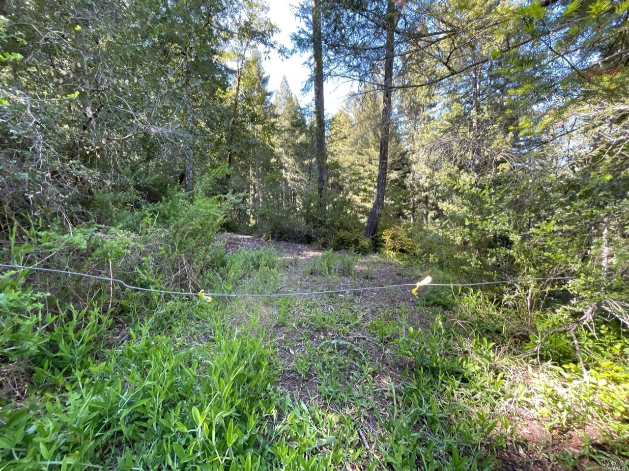 8235 Tyrone Rd, Monte Rio, CA 95419 - – Beds | – Baths (Active ...