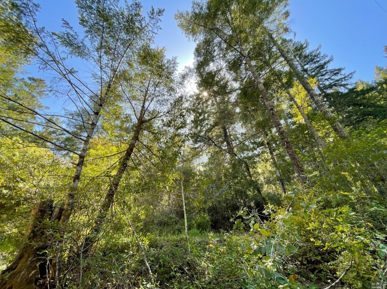 8235 Tyrone Rd, Monte Rio, CA 95419 - – Beds | – Baths (Active ...